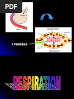Equipment: Administering Oxygen by Way of Endotracheal and Tracheostomy ...