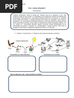 Las Cadenas Troficas - Las Redes Troficas (Alumno) | PDF | Red ...