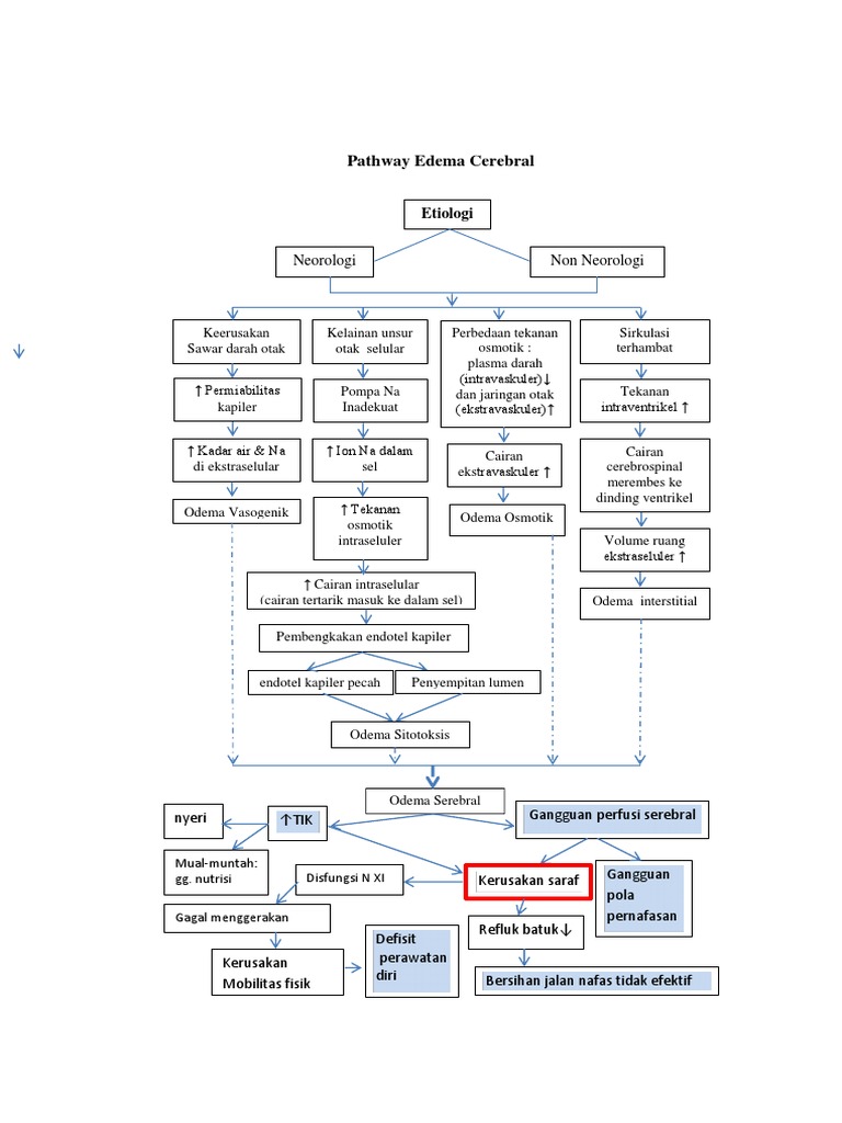 Pathway Edema Cerebral | PDF