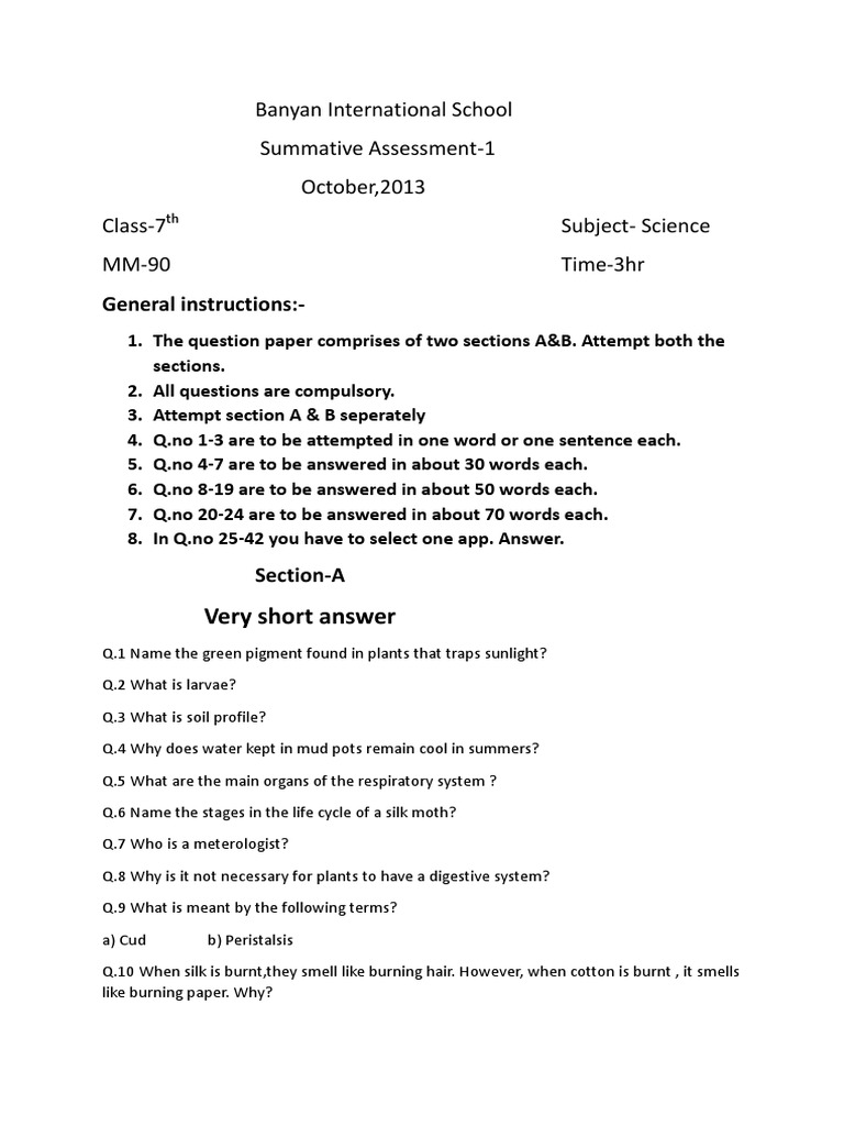 Banyan International School Paper | PDF | Carbon | Oxide