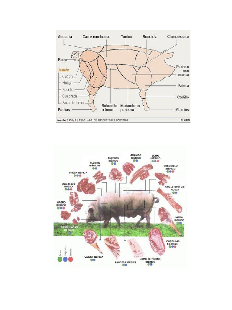 Partes de La Carne de Cerdo | PDF | gordo | Cocina