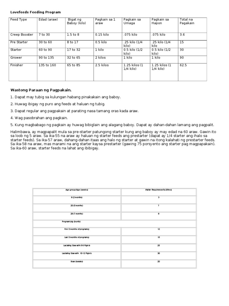 Lovefeeds Feeding Program | PDF