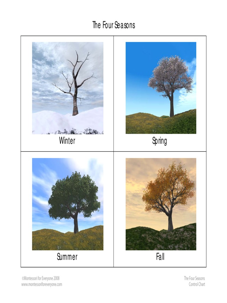 ©montessori For Everyone 2008 The Four Seasons Control Chart | PDF