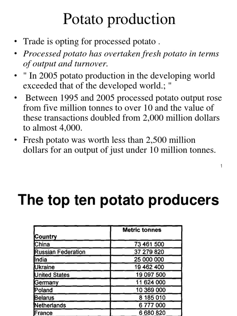 Potato Processing | PDF | French Fries | Potato Chip