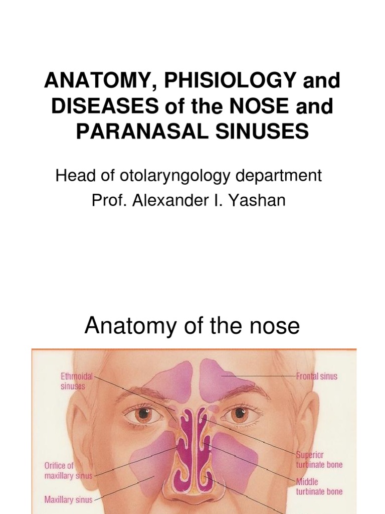 Understanding Nasal Septum Deformities | PDF | Common Cold | Mucus