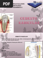 Tipos de Cemento Radicular: Acelular y Celular | PDF | Ramas de ...