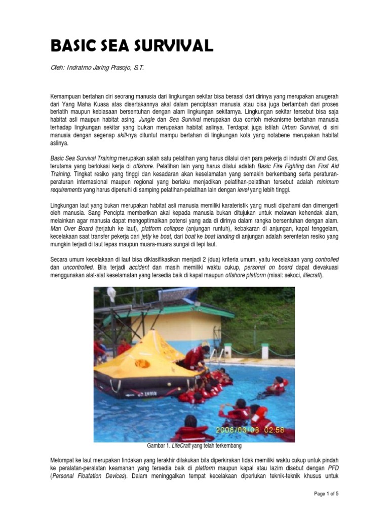 Basic Sea Survival PDF | PDF