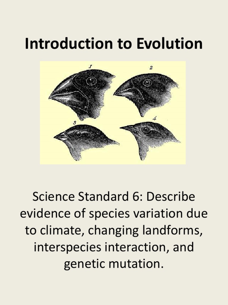 Introduction To Evolution | PDF | Genetic Diversity | Evolution