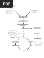 Cellulitis Pathophysiology | PDF | Inflammation | Medical Specialties