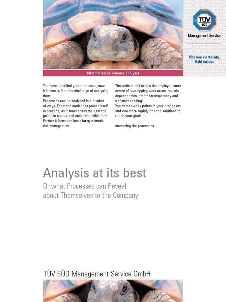 Turtle.pdf | Risk | Swot Analysis