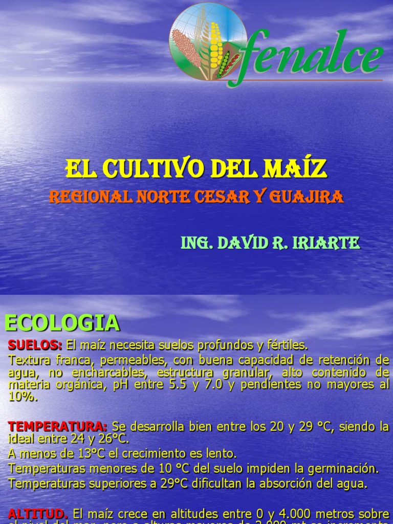 Copia De Manejo Agronomico Del Cultivo De Maiz Descargar Gratis Pdf