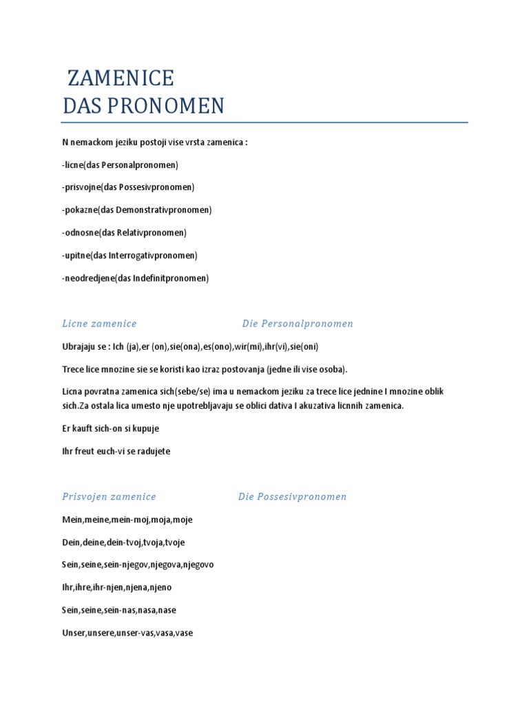 Zamenice Das Pronomen | PDF