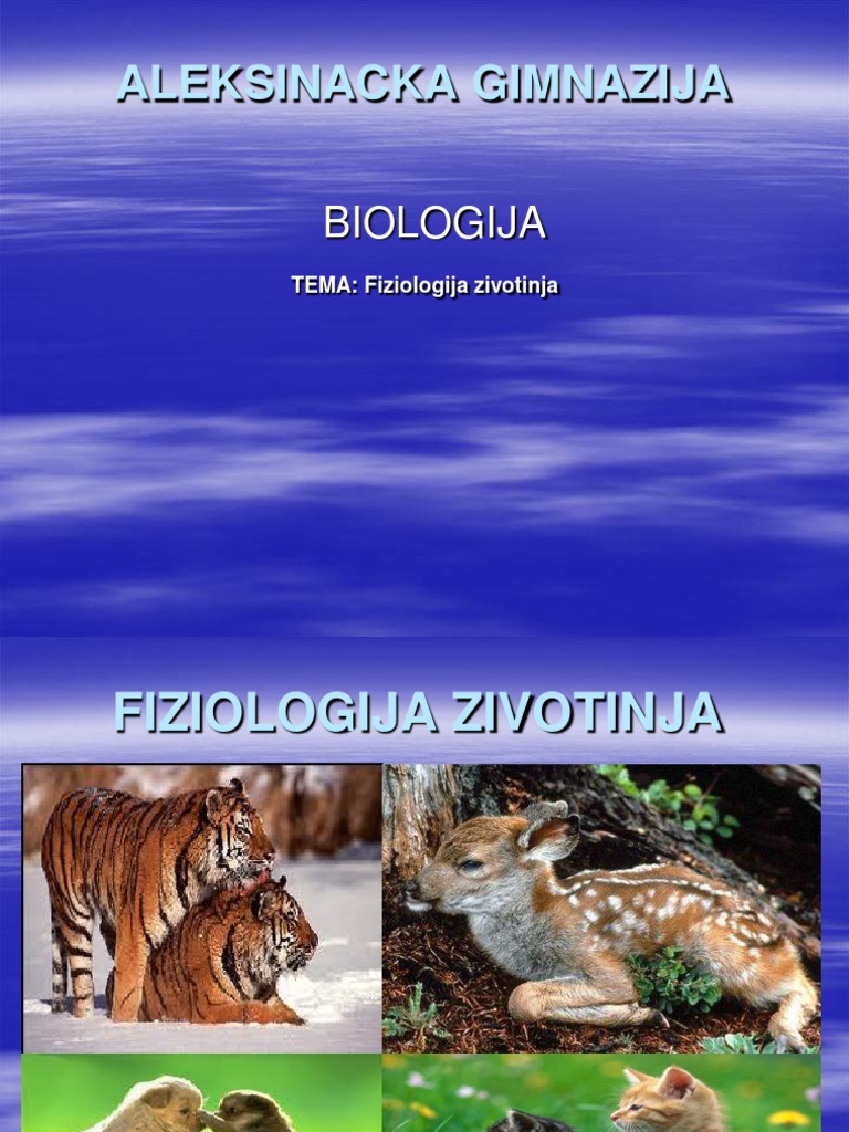 Osnove Fiziologije | PDF