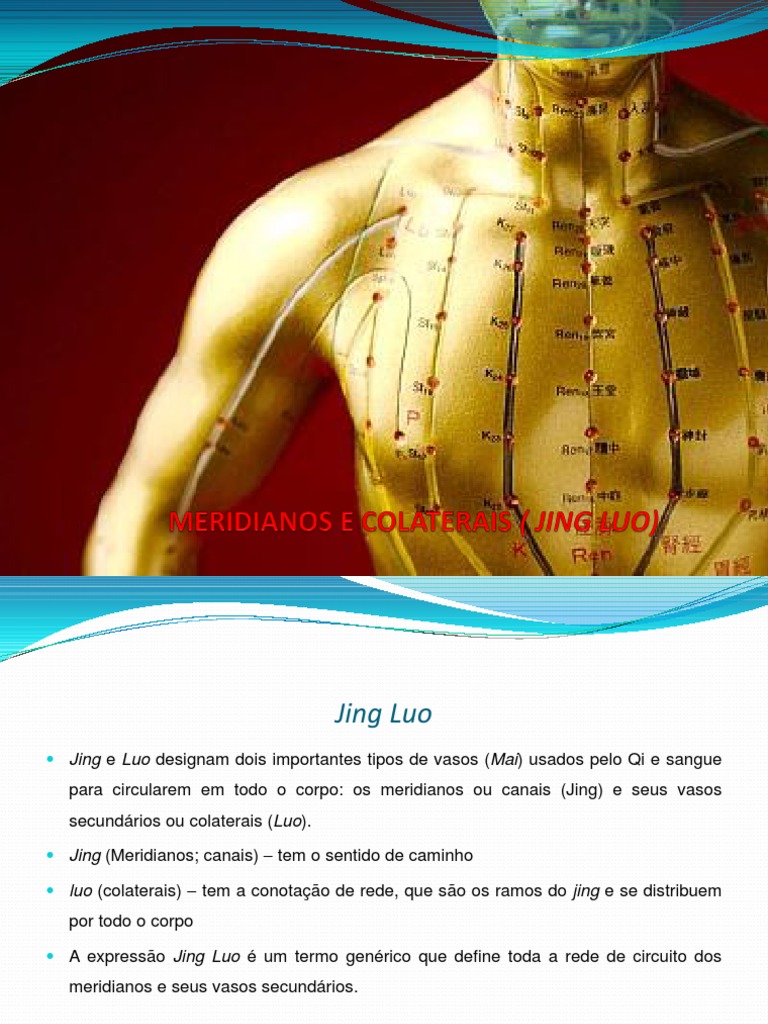 Estrutura e Função dos Meridianos Jing Luo | PDF | Meridiano ...
