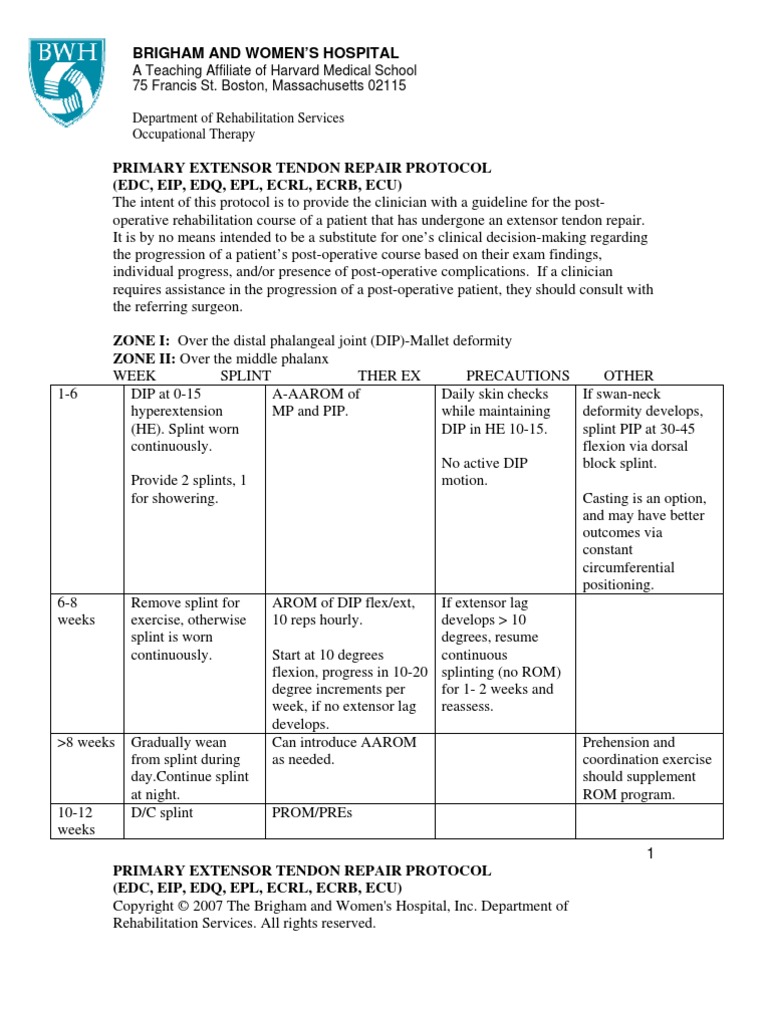 Extensor Tendon Injury Protocol | Thumb | Hand