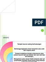 Sinaps Dan Neurotransmitter | PDF