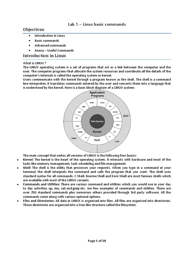 Lab 5 - Linux Commands | PDF | Command Line Interface | File Transfer Protocol