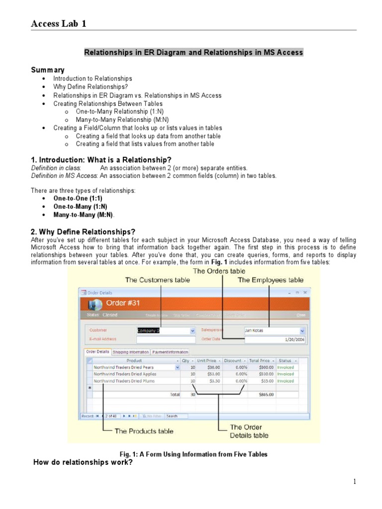 Access Lab 1 | PDF | Microsoft Access | Databases