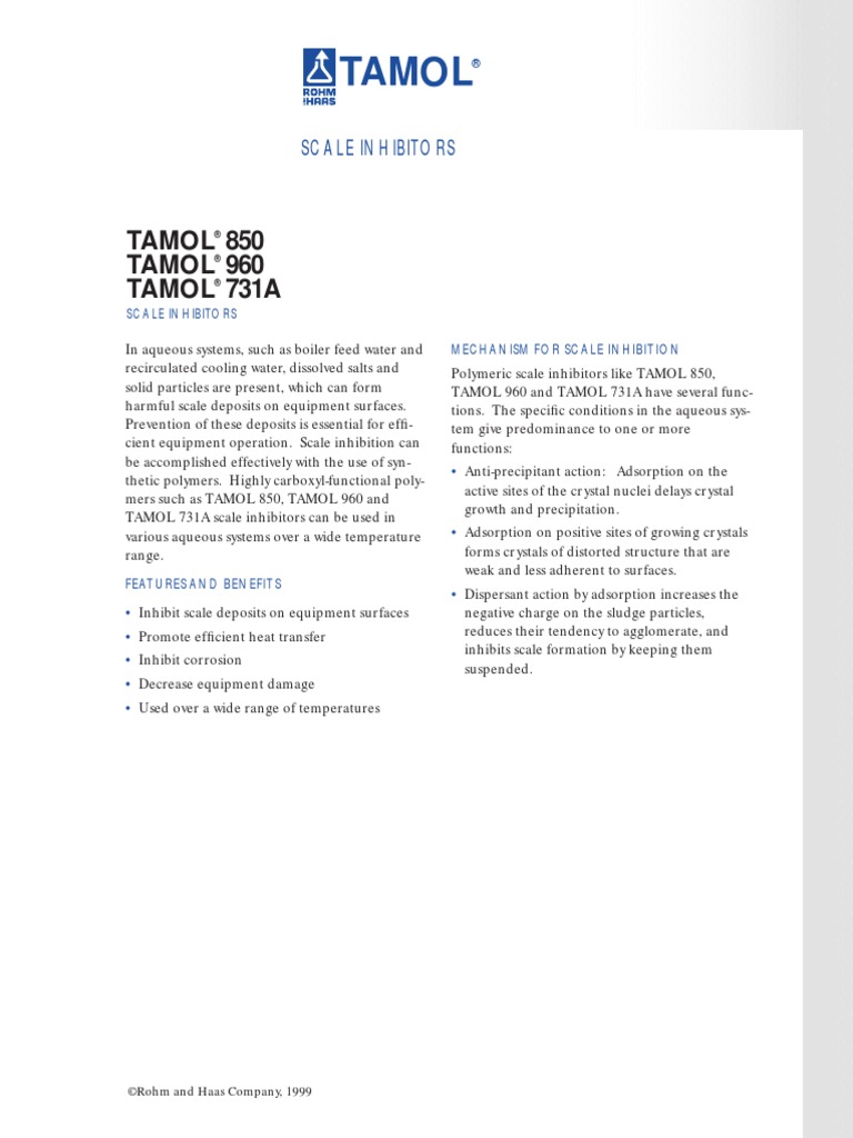 Tamol850 960 731A PDF | PDF | Polymers | Thermogravimetric Analysis