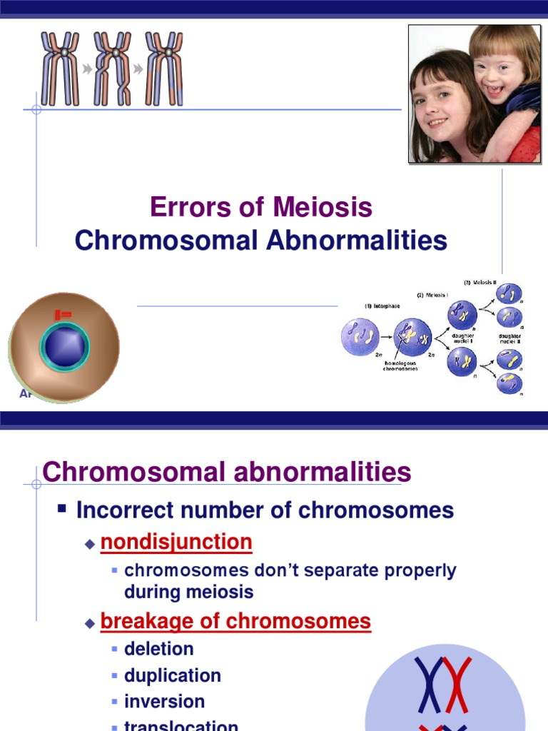 Ch15 Chromosomal Abnormalities | PDF | Meiosis | Chromosome