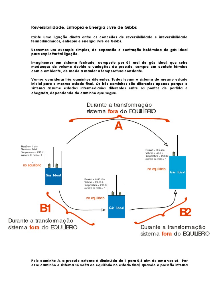 Aula 1 304 - Reversibilidade, Entropia e Energia Livre de Gibbs | PDF