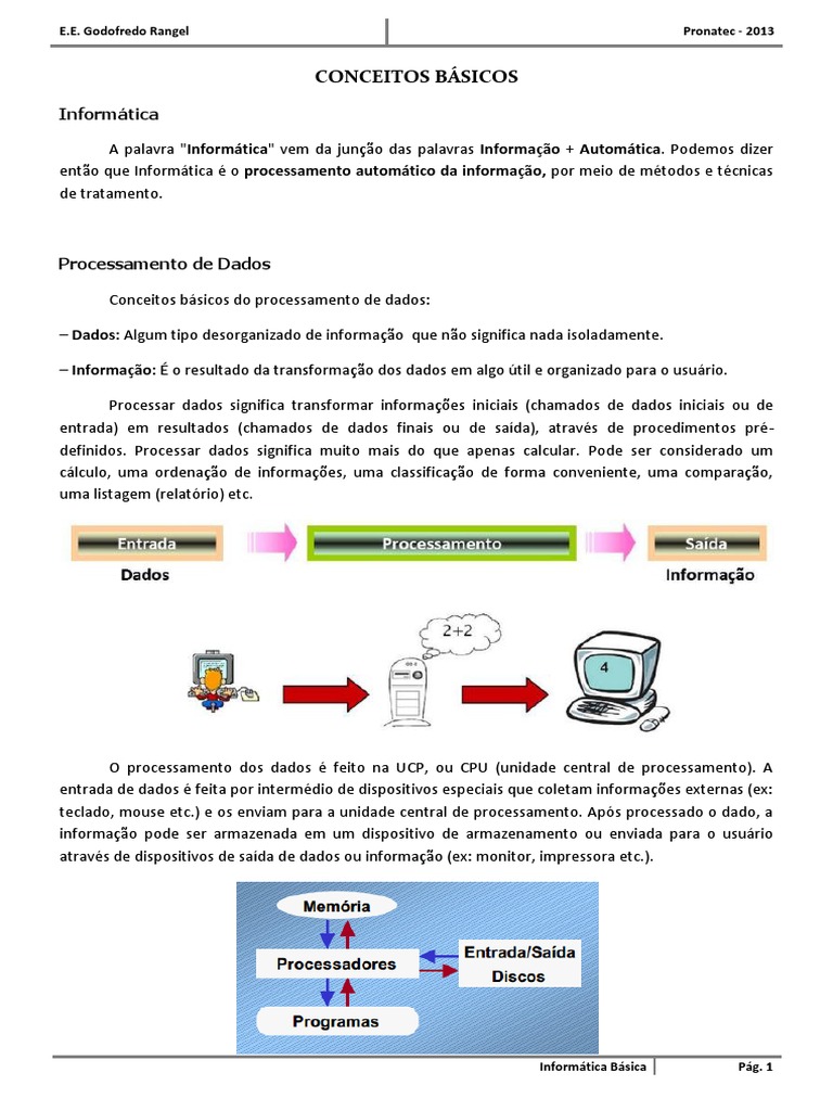 Conceitos básicos de informática: hardware, software, processamento de ...