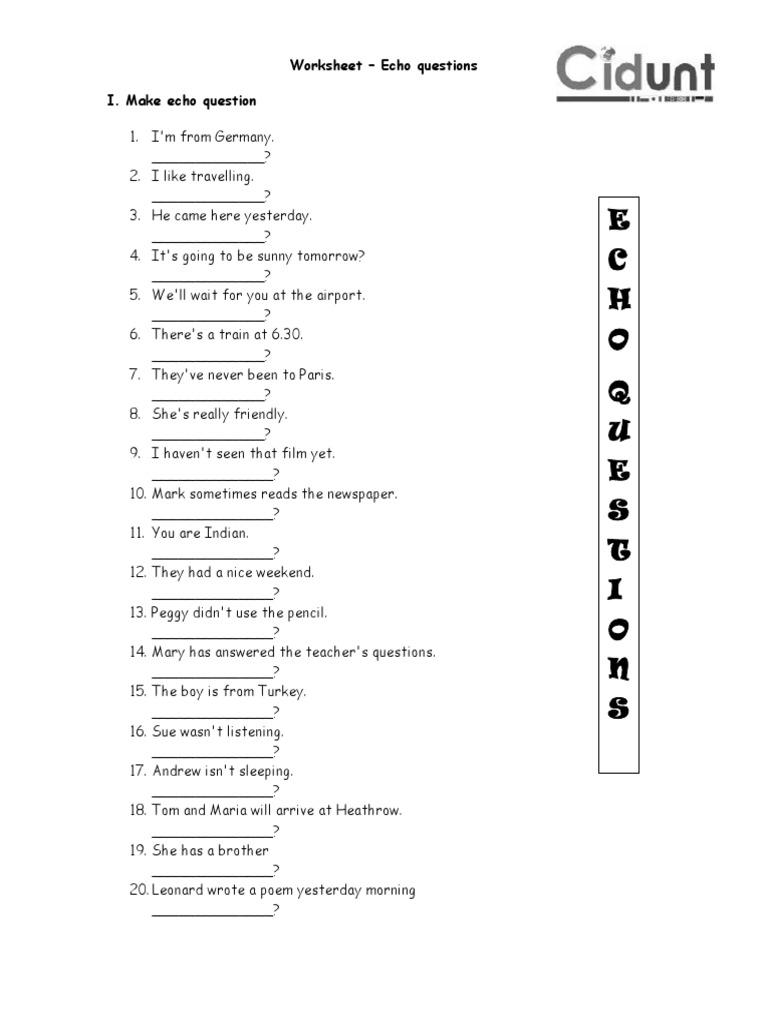 Echo Questions Worksheet | PDF