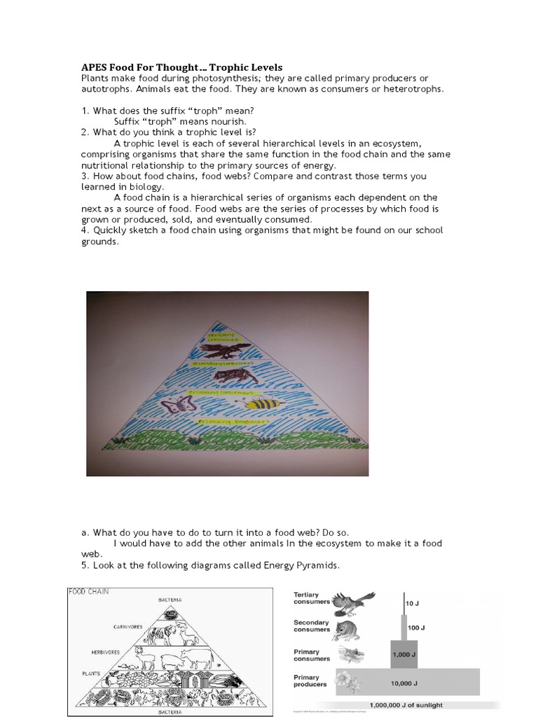 Apes Food For Thought Trophic Levels Pdf Food Web Soybean