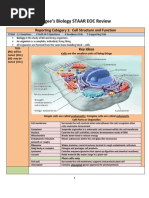 Taxonomy Foldable | PDF | Taxonomy (Biology) | Cell (Biology)