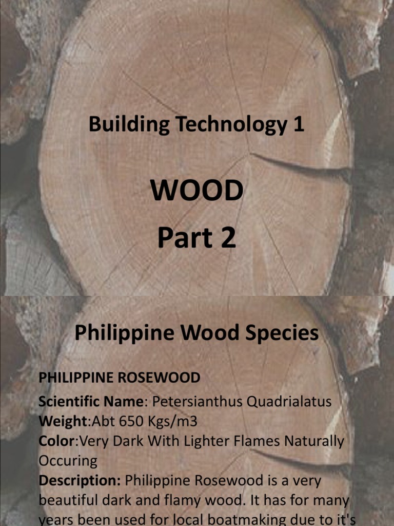 Wood Part 2 | PDF | Wood | Maple