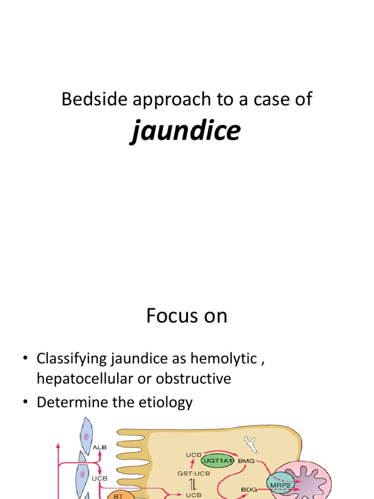 Approach To Jaundice | PDF | Hepatitis | Liver