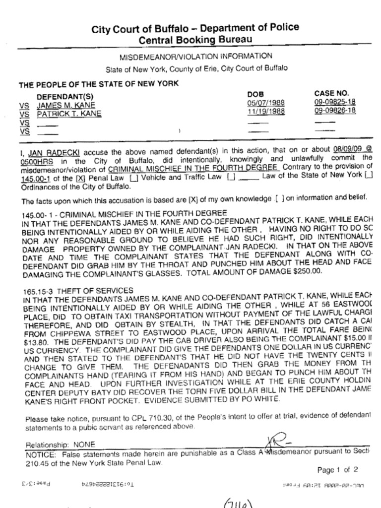 Police Report | PDF
