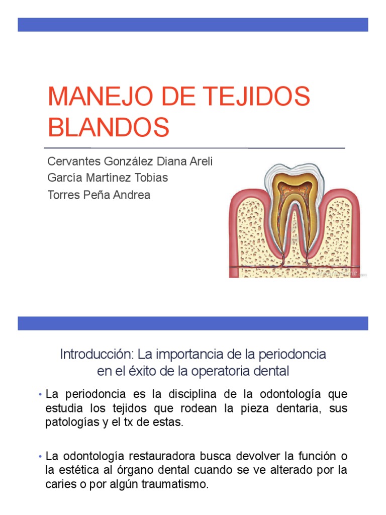 Manejo de Tejidos Blandos | Diente humano | Odontología