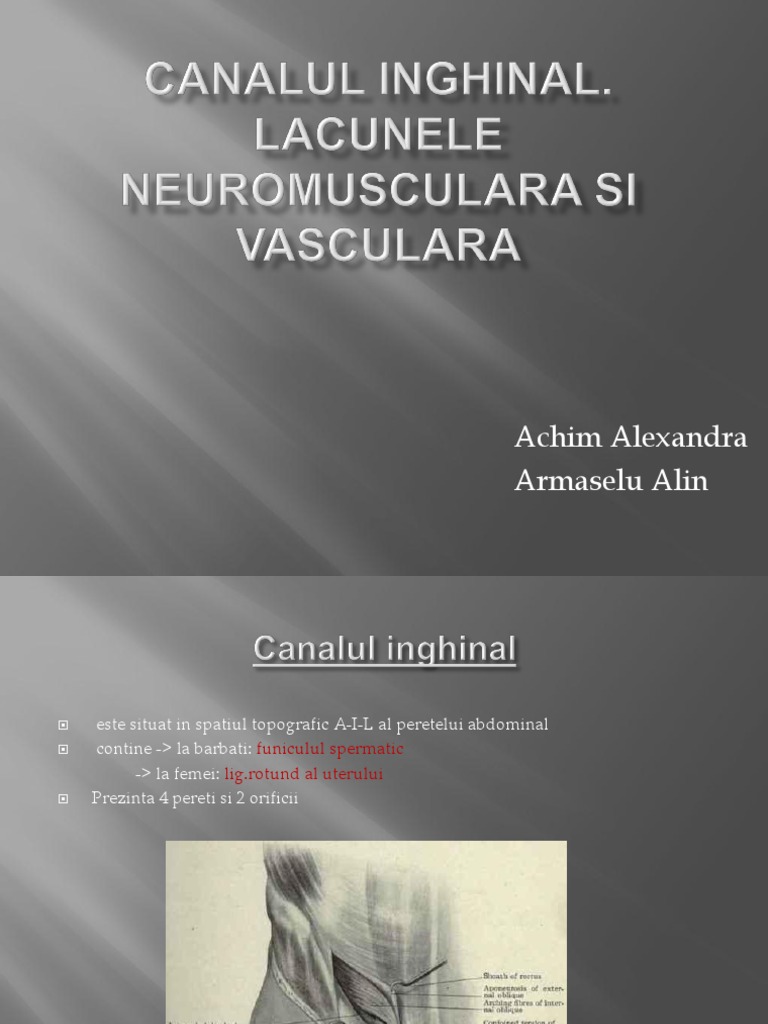 Canalul inghinal
