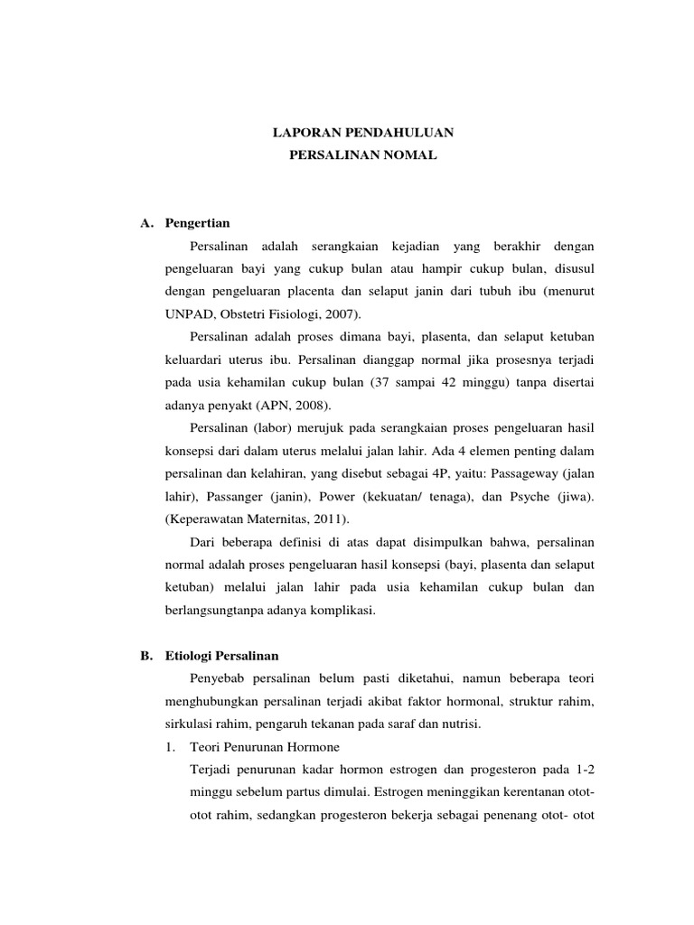 LP Persalinan Normal | PDF
