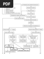 Pathway Perdarahan Antepartum | PDF