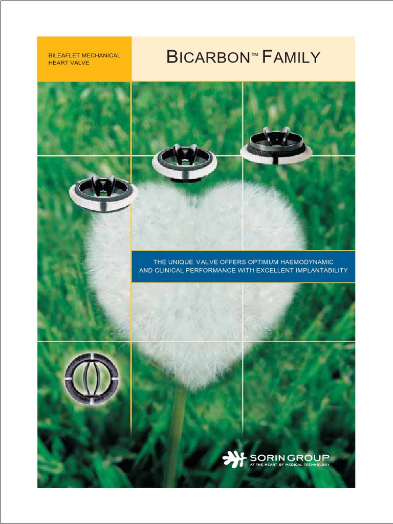 Valves Bicarbon | PDF | Hemodynamics | Blood Pressure