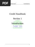 Sample Credit Policies and Procedures Manual | PDF | Loans | Credit