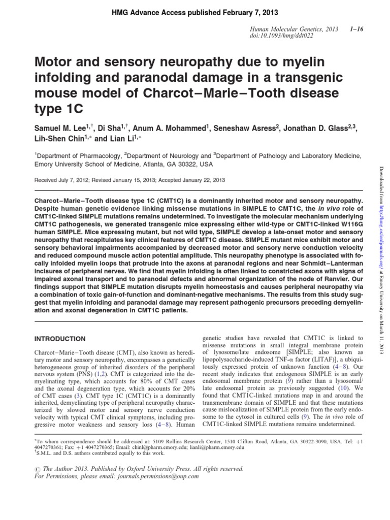 Hum Mol Genet - 2013-Lee-Hmg ddt022 | PDF | Myelin | Axon