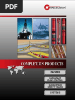 Halliburton Packer Information PDF | PDF | Casing (Borehole) | Chemical ...