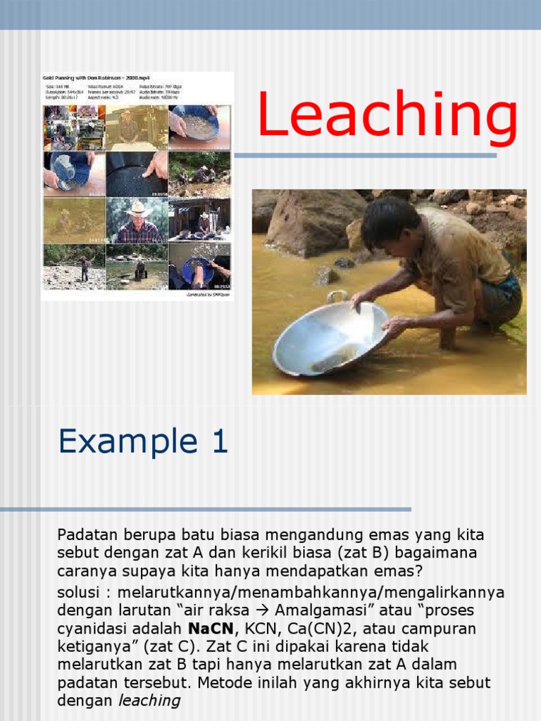 Leaching | PDF