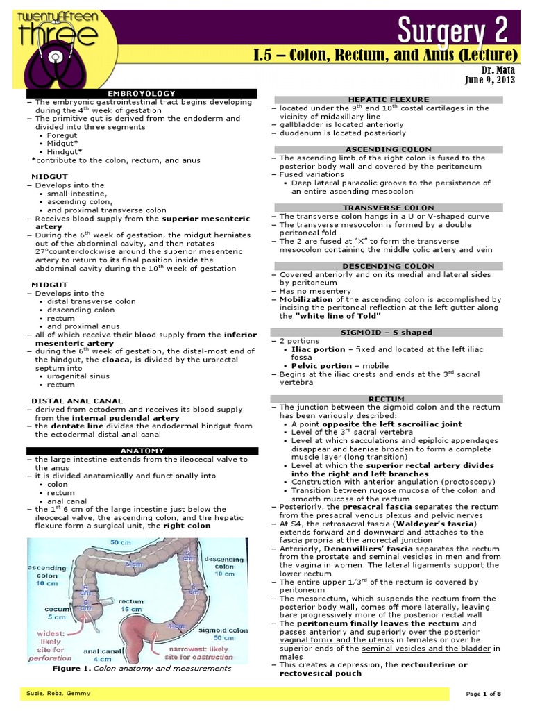 Anatomy of the Colon, Rectum, and Anus | PDF | Large Intestine | Hemorrhoid