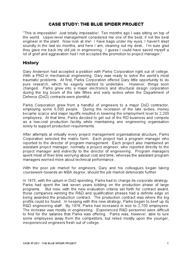 Blue Spider Project Case Study Analysis | PDF | Employment | Salary