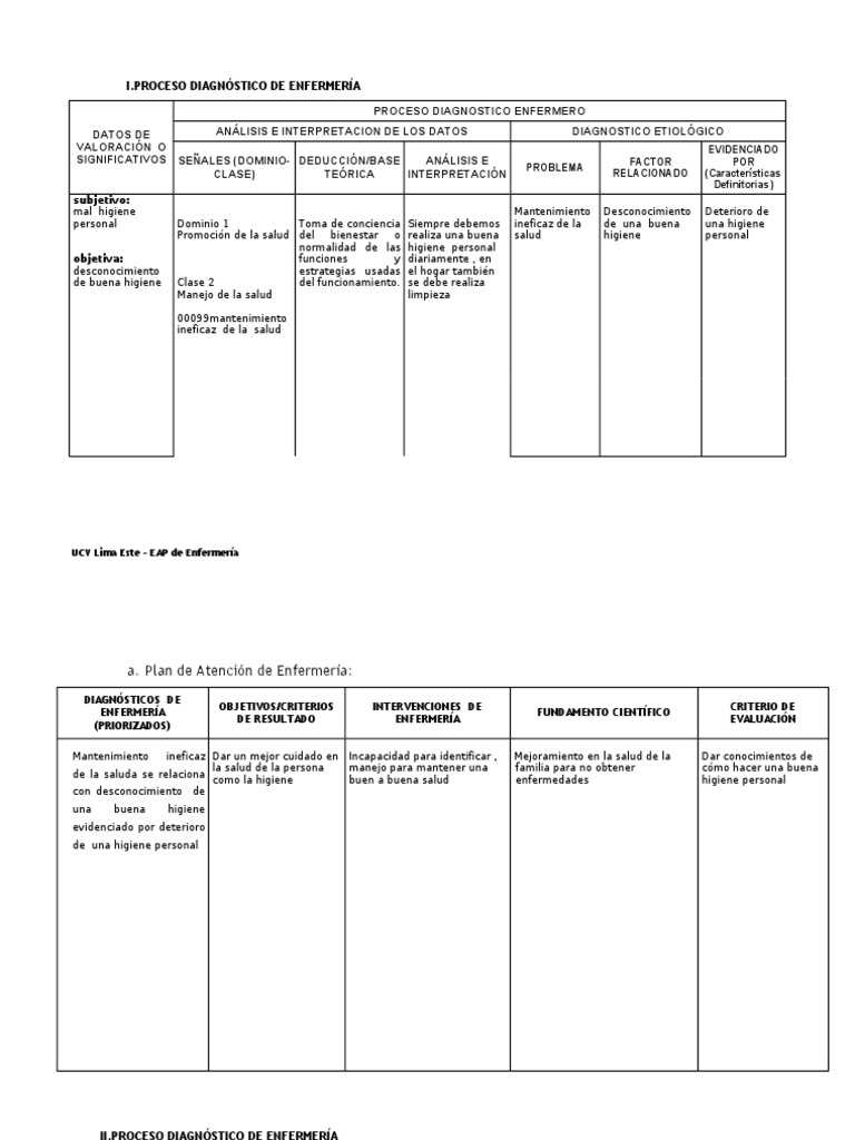 Esquema Pae Promaciom | PDF | Enfermería | Cuidado de la salud