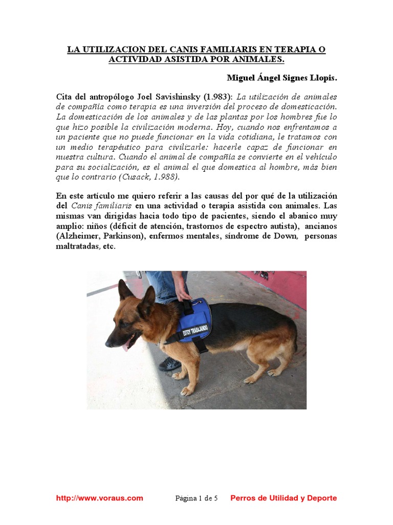 Conducta Gregaria | PDF | Perros | Lectura (proceso)