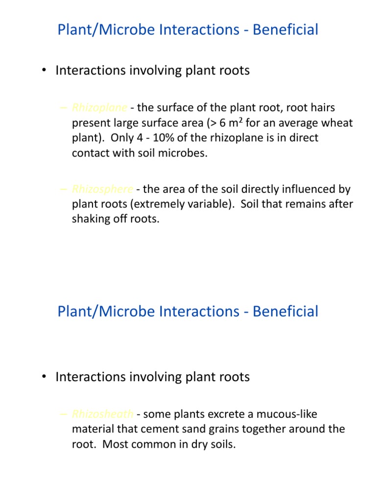 Plant-Microbe Interactions Overview | PDF | Fungus | Horticulture And ...