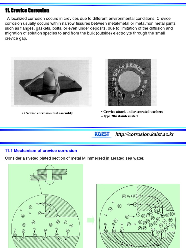 Crevice Corrosion: - Crevice Corrosion Test Assembly - Crevice Attack ...