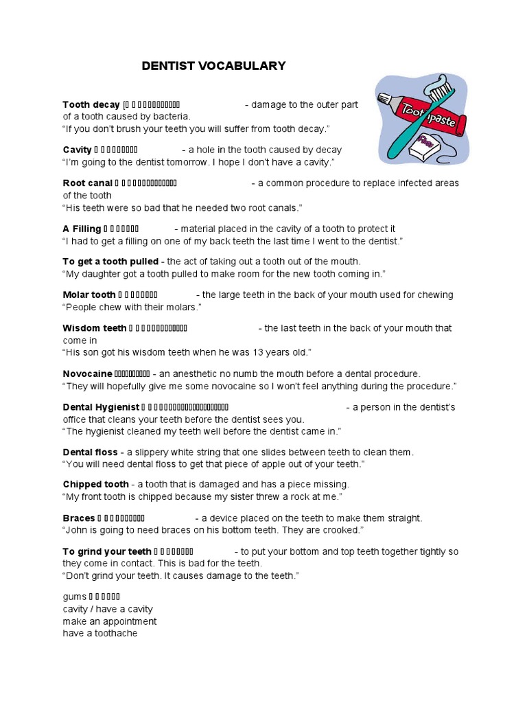 At The Dentist's - Vocabulary and Wordsearch | PDF | Dentistry | Tooth