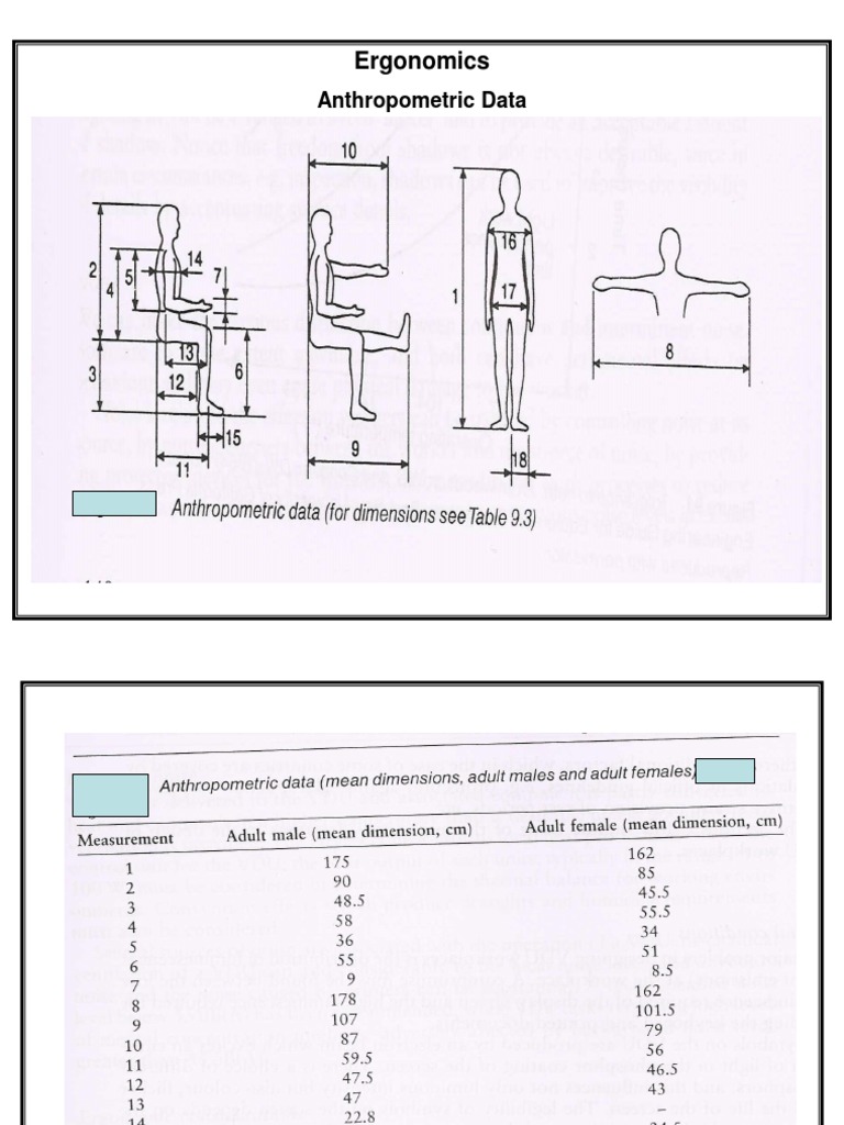 Ergonomics Anthropometric Data | PDF