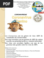 El Timo Animal | PDF